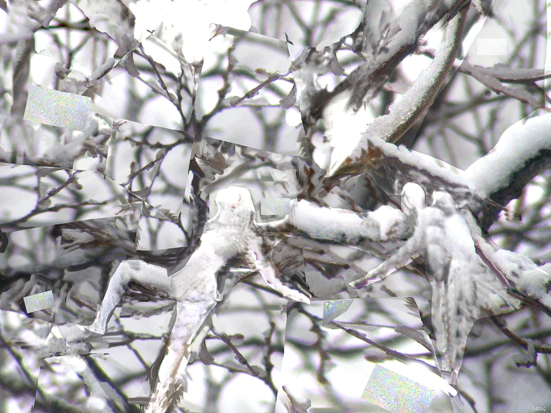 2019 Murmuration Calendar No. 2 – Art by Deeling